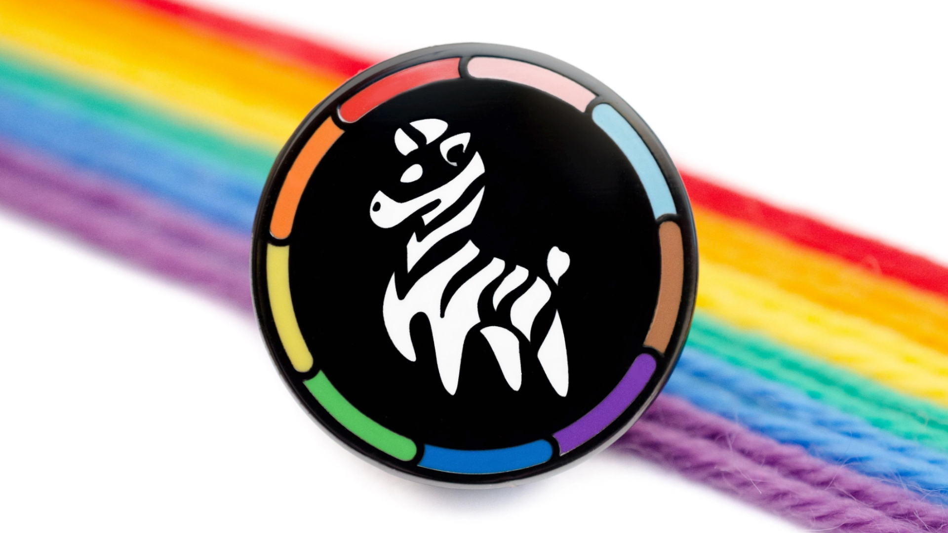 Small Business Spotlight: Proud Zebra – Breakfast Television