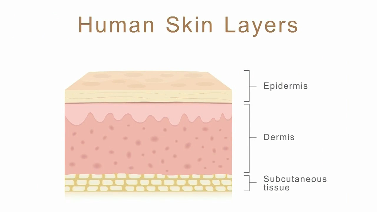 How your skin condition can indicate underlying health conditions ...