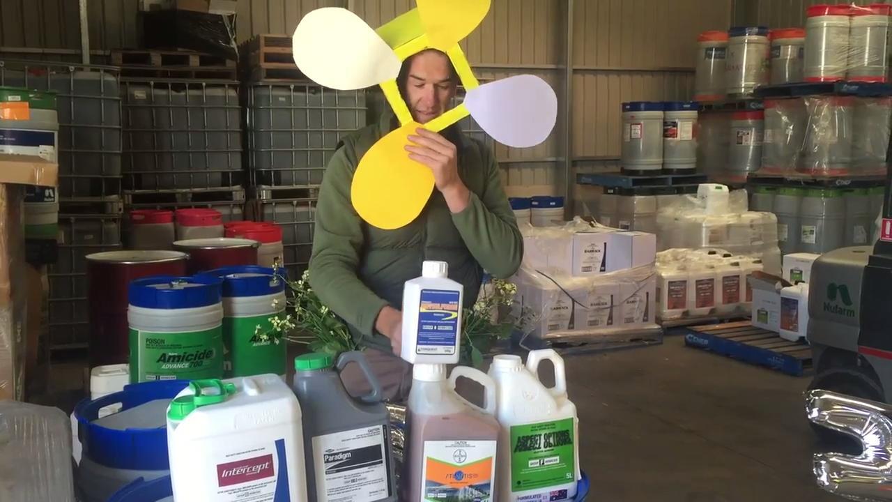 TALINOR herbicide | For control of hard to kill broadleaf weeds