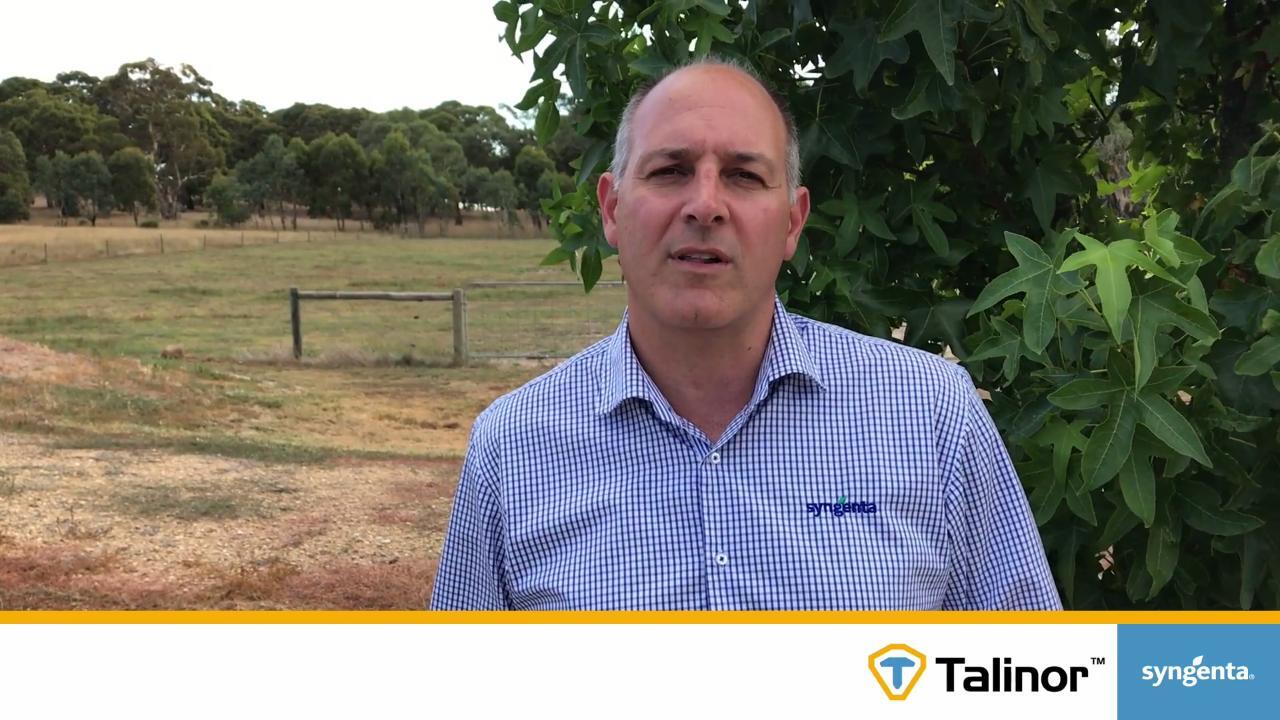 TALINOR herbicide | For control of hard to kill broadleaf weeds
