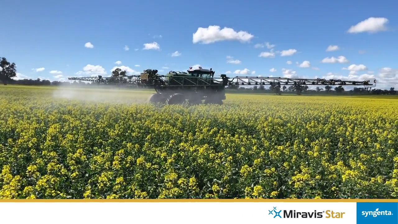 Miravis Star | Syngenta