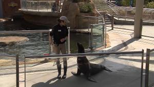 Tulsa Zoo | TravelOK.com - Oklahoma's Official Travel & Tourism Site