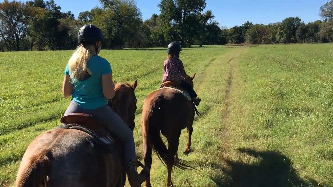 Silver Wind Stables | TravelOK.com - Oklahoma's Official Travel ...