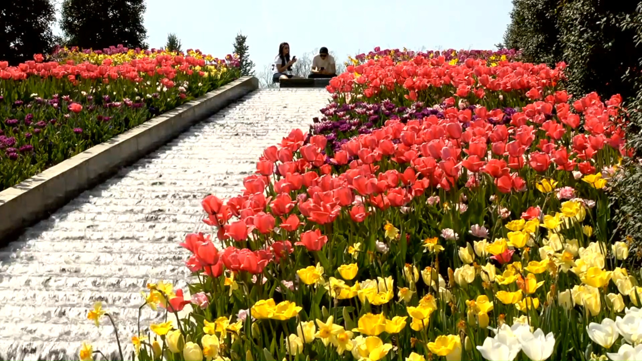 Tulsa Botanic Garden | TravelOK.com - Oklahoma's Official Travel ...