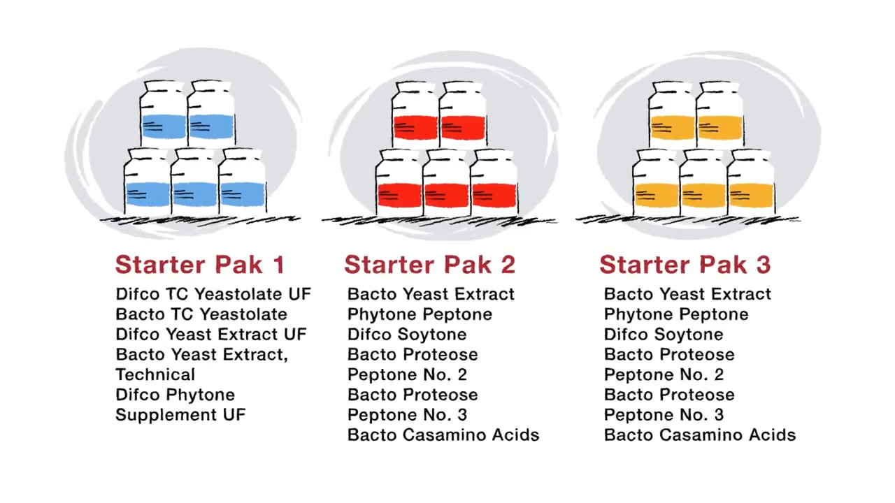 Helicobacter pylori antibodies from Thermo Fisher Scientific