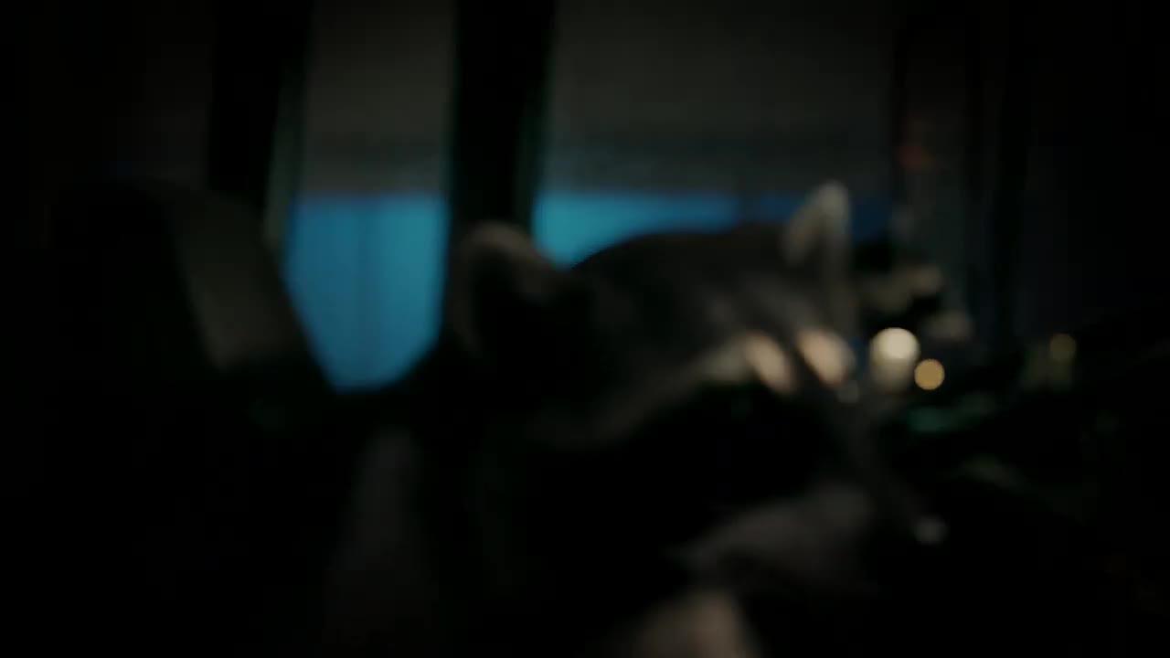 Geico Reklamer Pinocchio