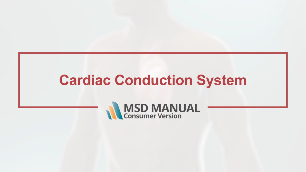 Ambulatory Electrocardiography (Holter and Event Monitors) - Heart and ...