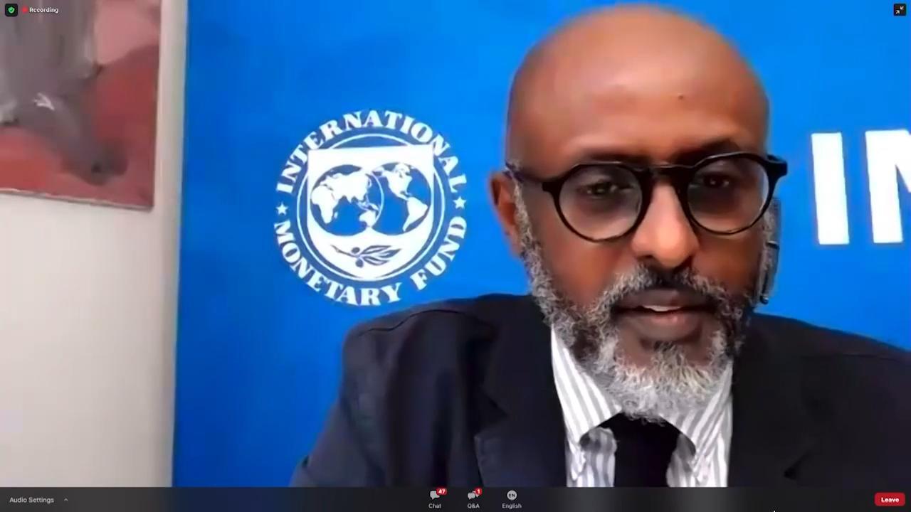 IMF Videos - Capacity Development Talk: Promoting Effective Use of ...
