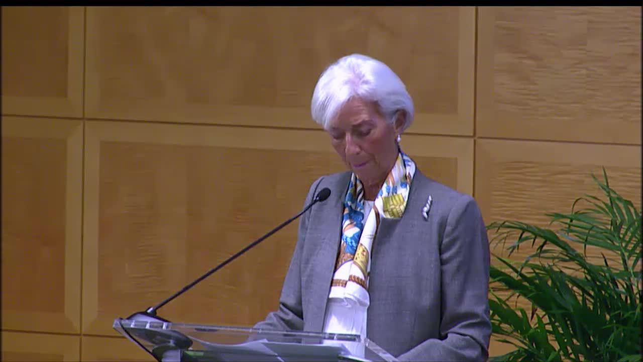 IMF Videos - Sovereign Debt: A Guide for Economists and Practitioners ...