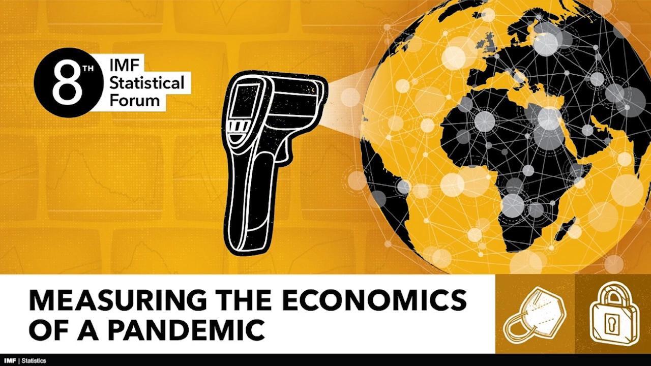 IMF Videos - 8th IMF Statistical Forum Day 2 (November 18, Part 2)