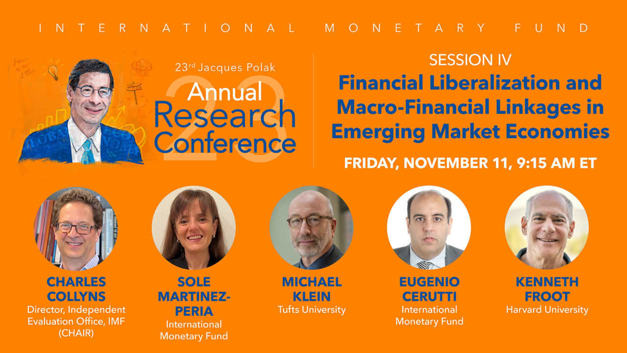 IMF Videos - Financial Liberalization and Macro-Financial Linkages in ...
