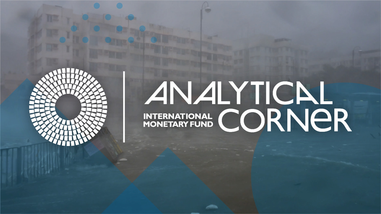 IMF Videos - Exploring Climate Change Stress Test for Banks