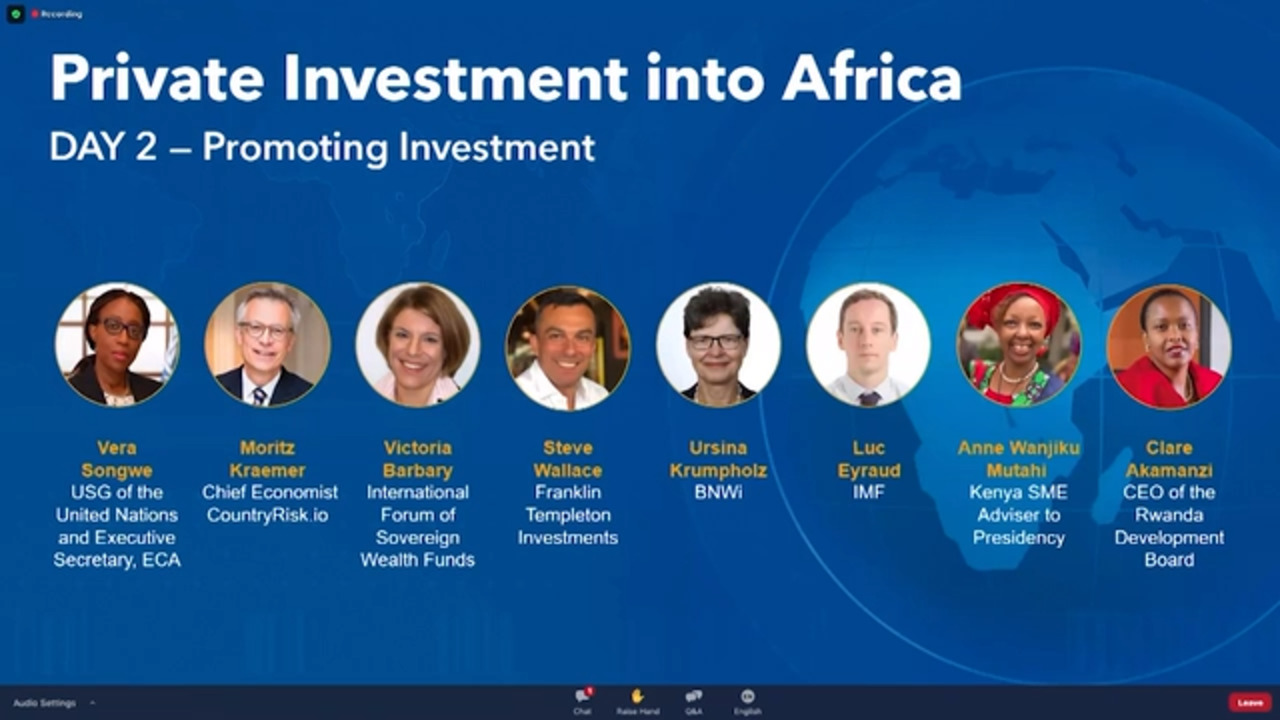 IMF Videos - Mobilizing Private Finance for Development – What African ...