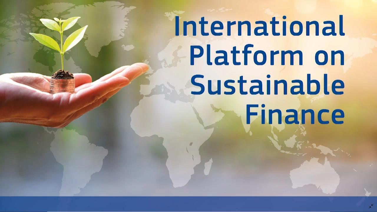 IMF Videos - International Platform on Sustainable Finance：A global ...