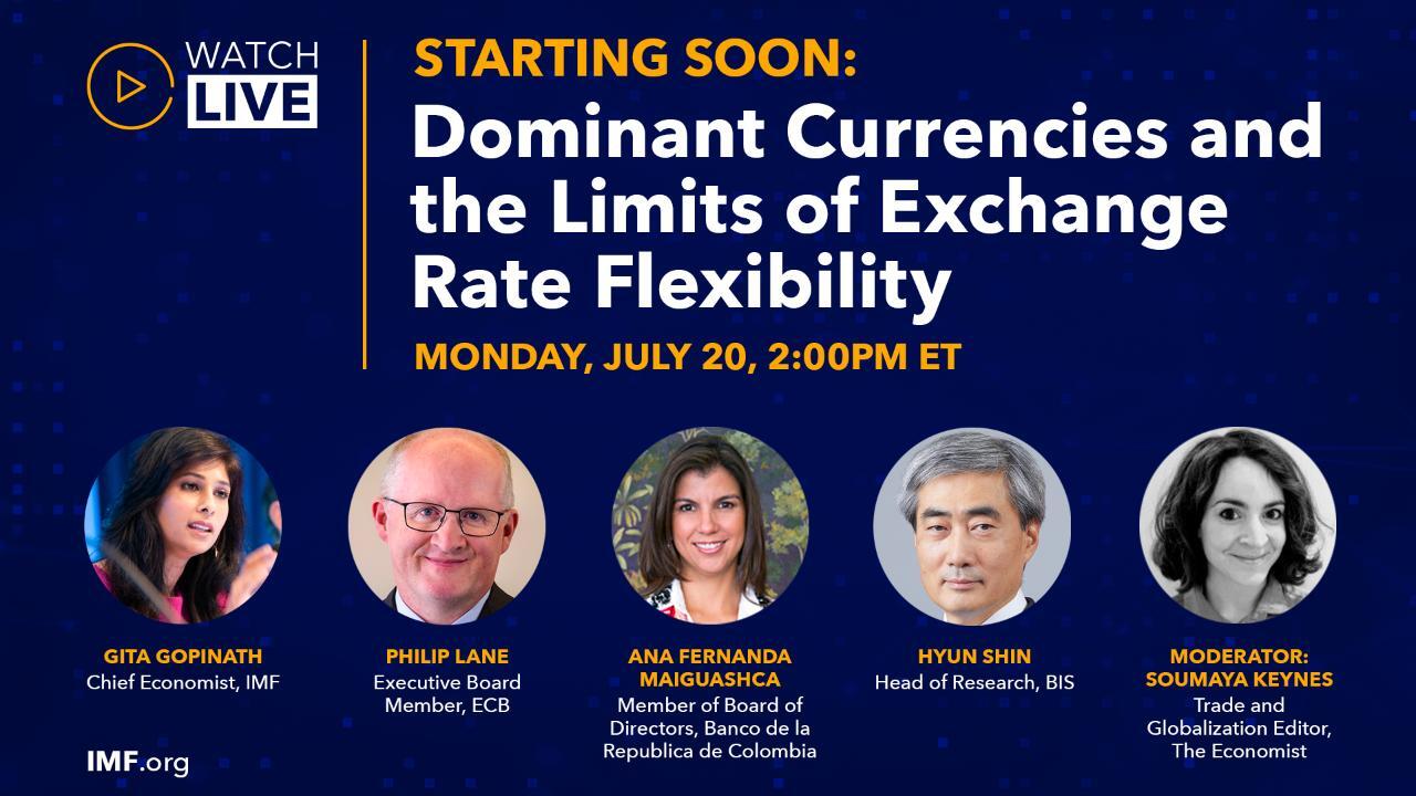 IMF Videos - Dominant Currencies and the Limit of Exchange Rate Flexibility