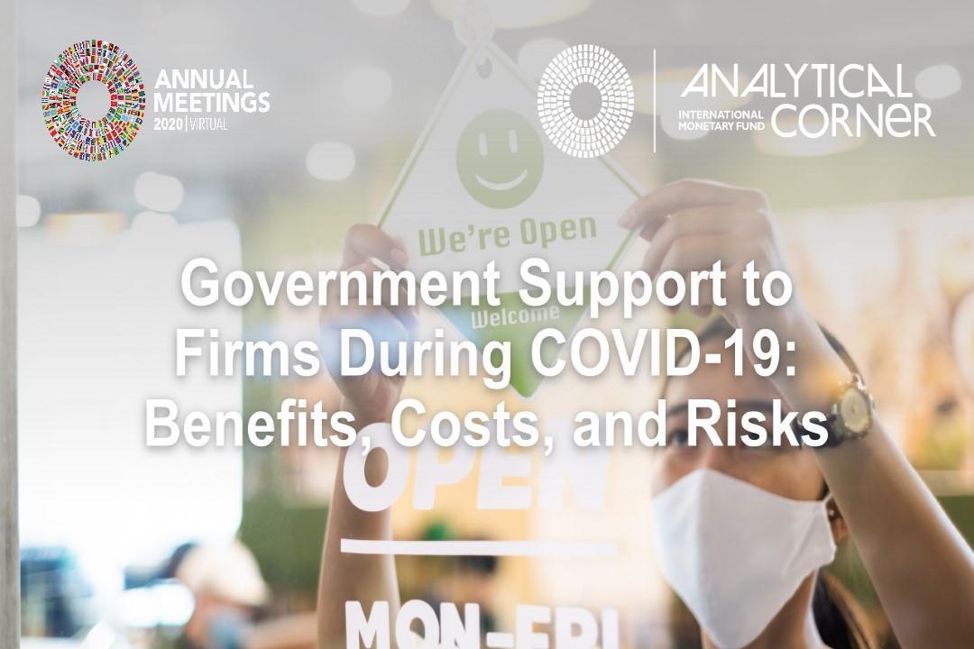 IMF Videos - Government Support to Firms During COVID-19: Benefits ...