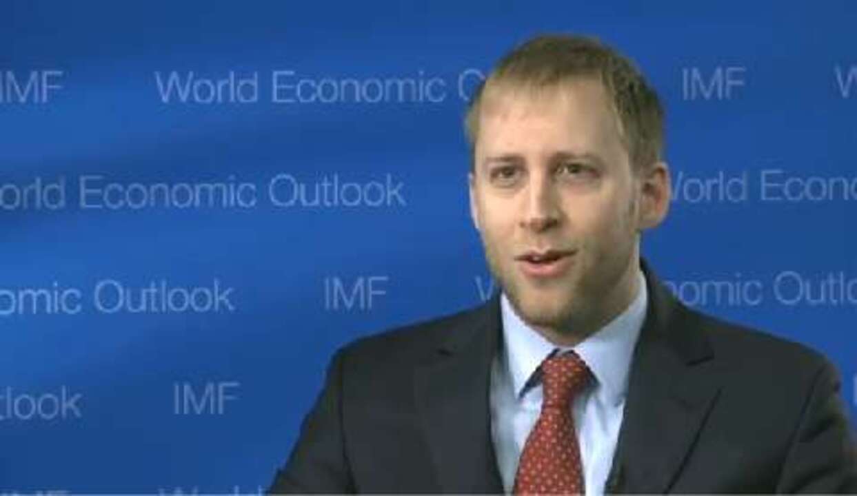 IMF Videos - The effects of fiscal consolidation on economic activity