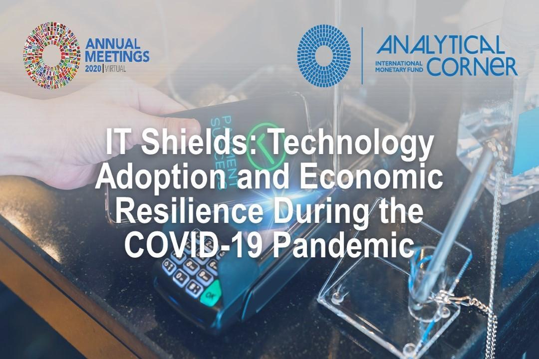 IMF Videos - IT Shields: Technology Adoption and Economic Resilience ...