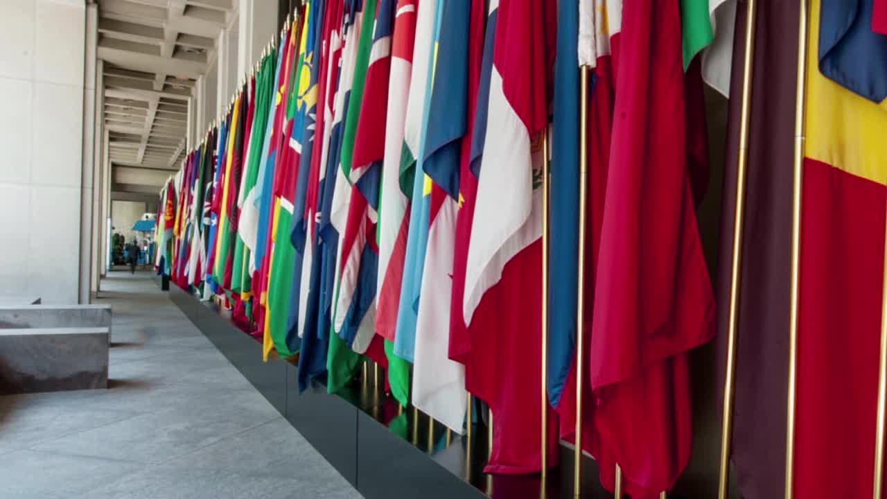 IMF Videos - About the IMF