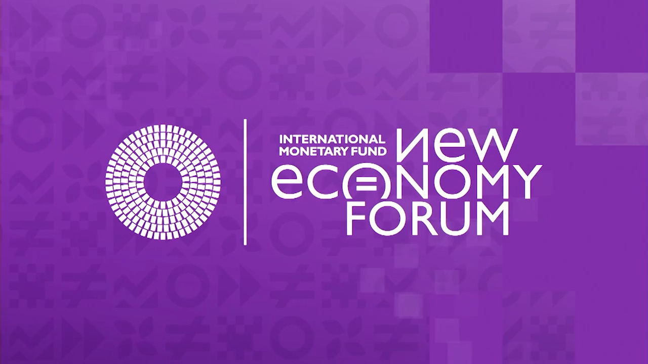 IMF Videos - Building Back Digital with GovTech