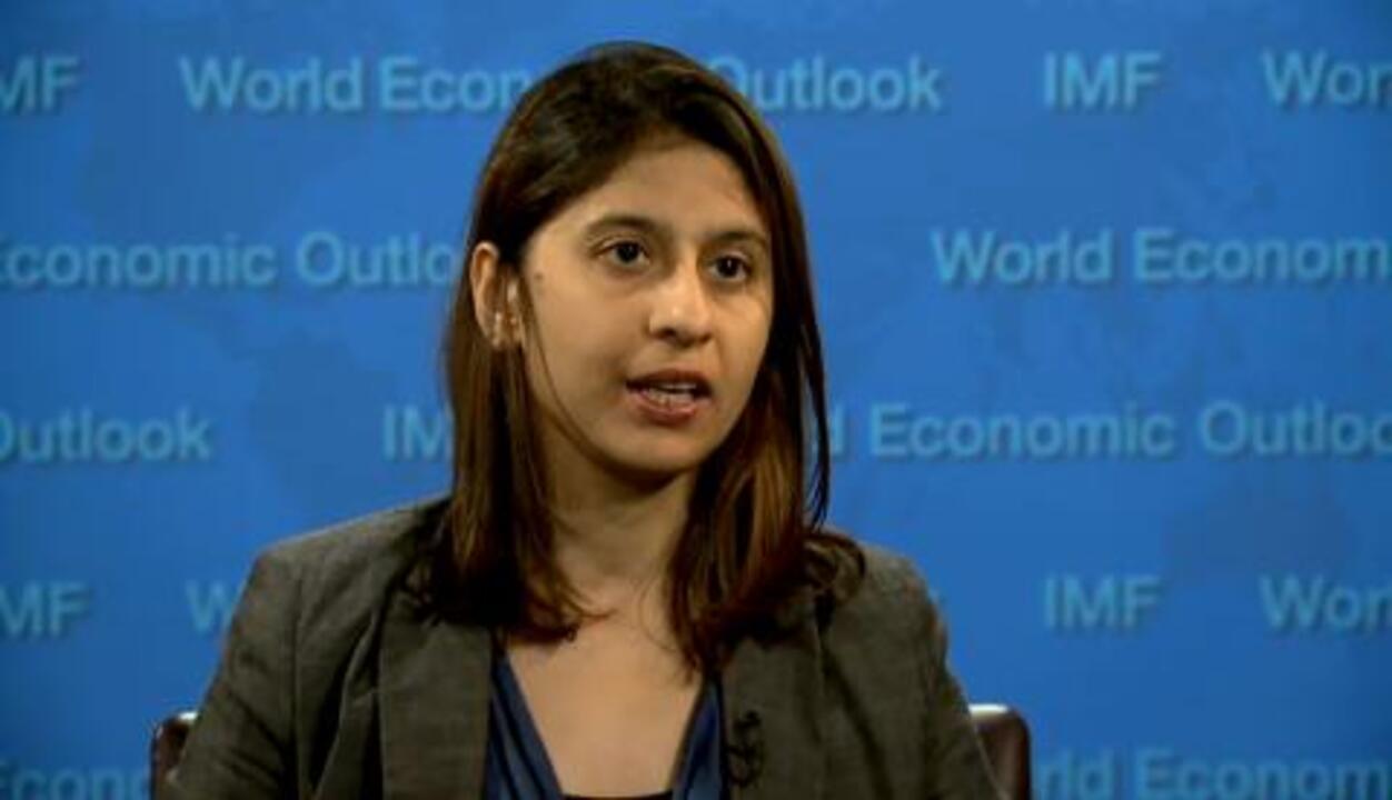 IMF Videos - IMF on Fickle Capital Flows