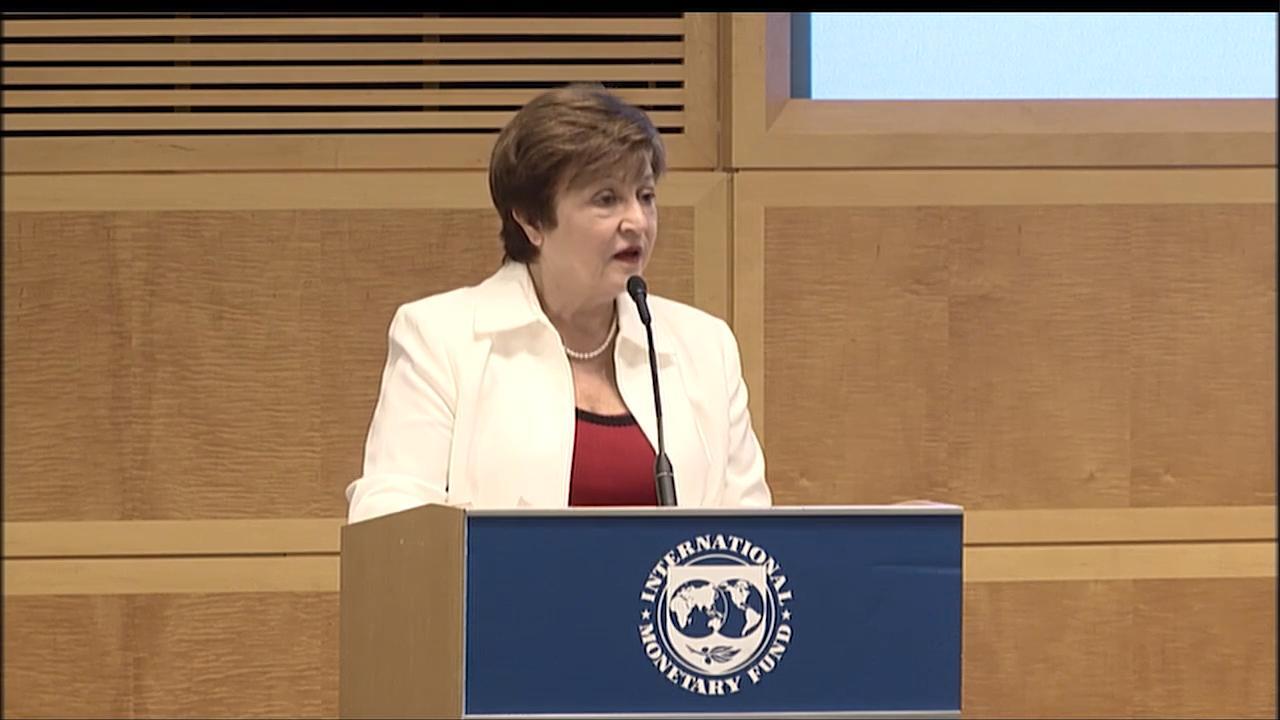 IMF Videos - 2019 IMF Annual Research Conference: Opening Remarks