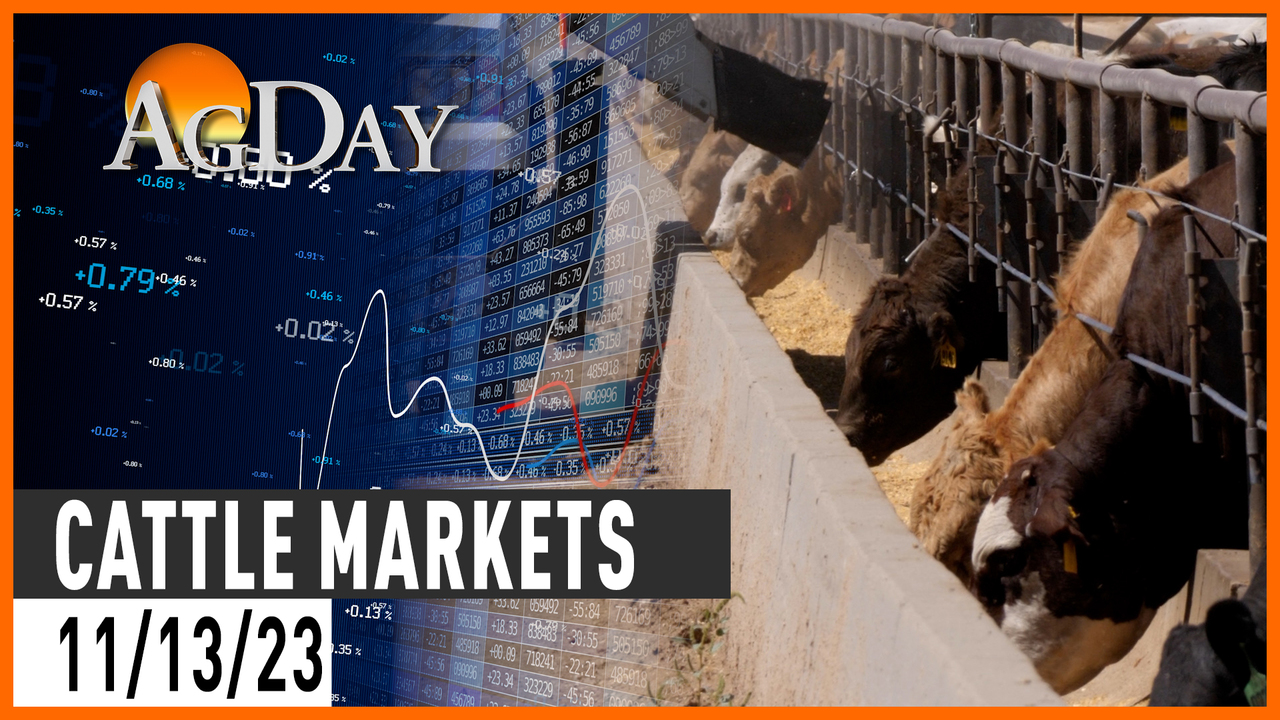 AgDay 11/13/23 - LATEST EPISODES - AgDay OTT