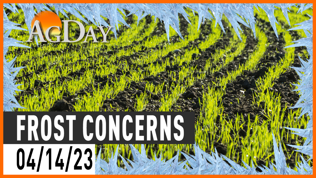 AgDay 05/31/21 - AGDAY - Farm Journal TV