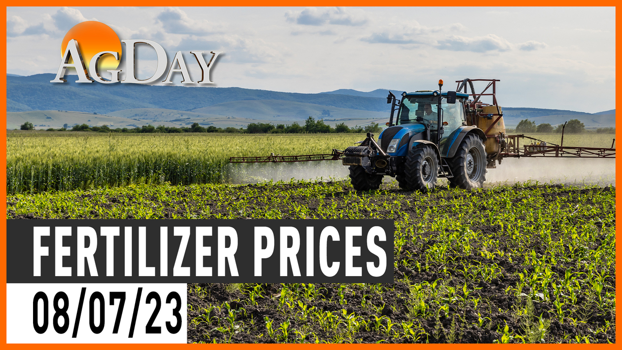 AgDay 080723 - AGDAY - Farm Journal TV