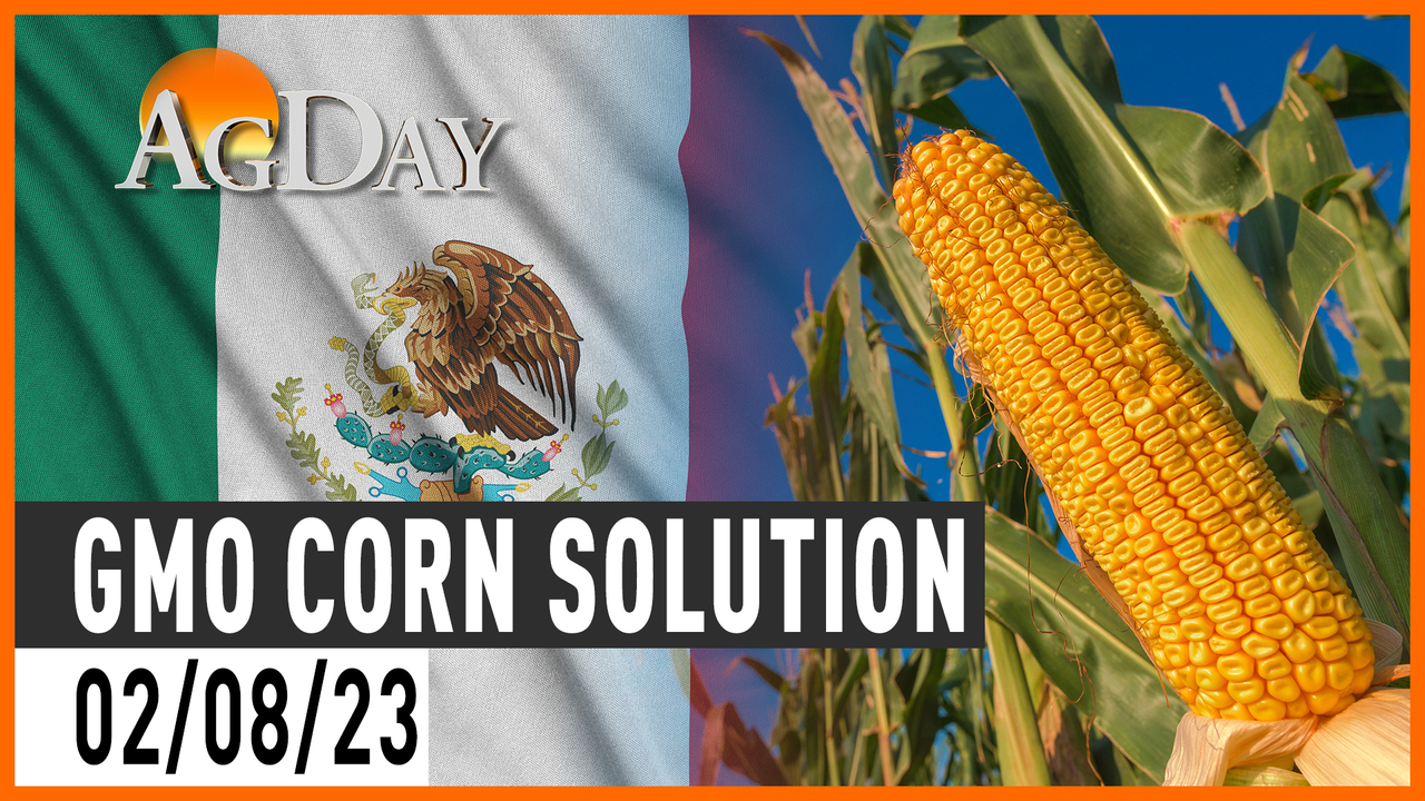 AgDay 02/08/23 - AGDAY - Farm Journal TV