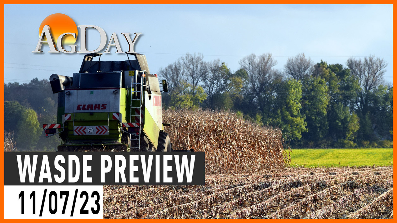 AgDay 11/07/23 - LATEST EPISODES - AgDay OTT