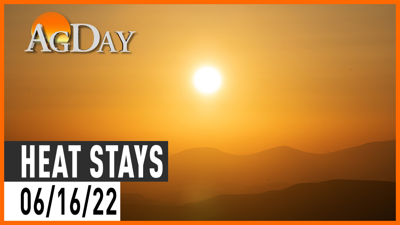 AgDay 05/20/22 - LATEST EPISODES - AgDay OTT