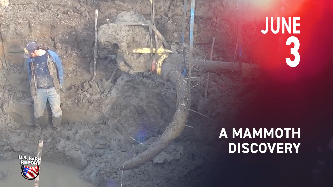 U.S. Farm Report 07/10/21 - U.S. FARM REPORT - Farm Journal TV