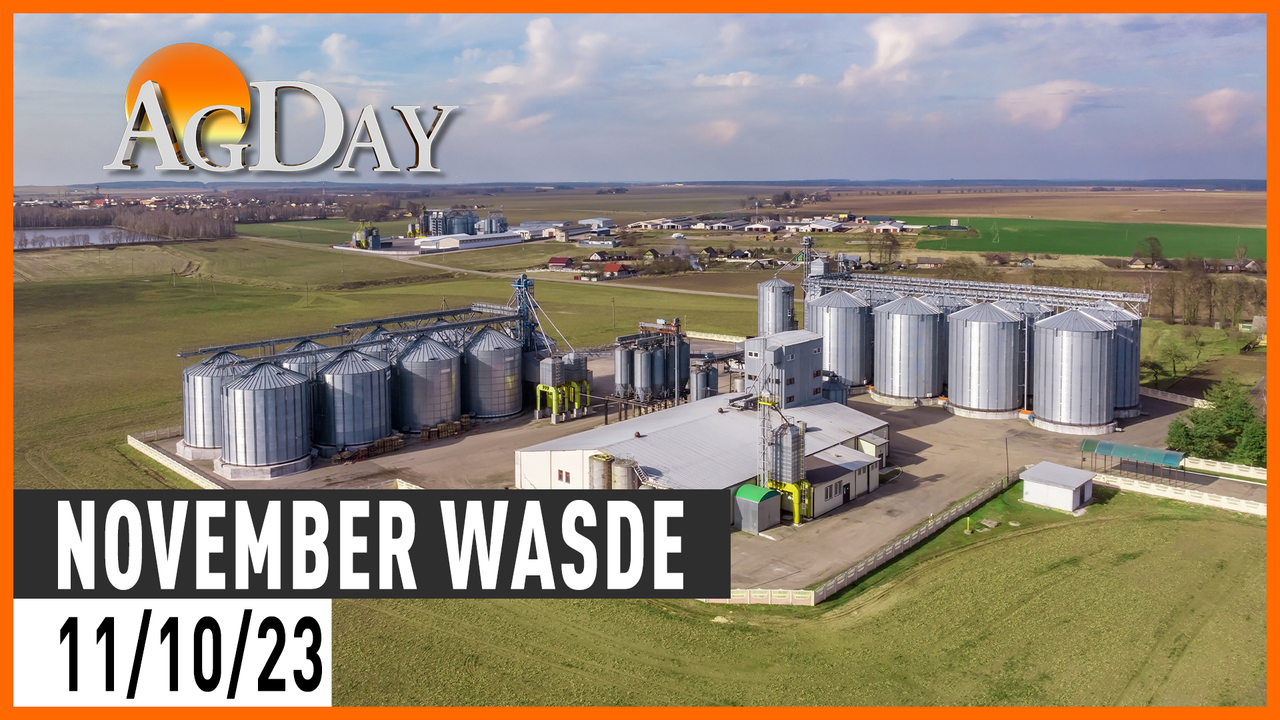 AgDay 11/10/23 - LATEST EPISODES - AgDay OTT