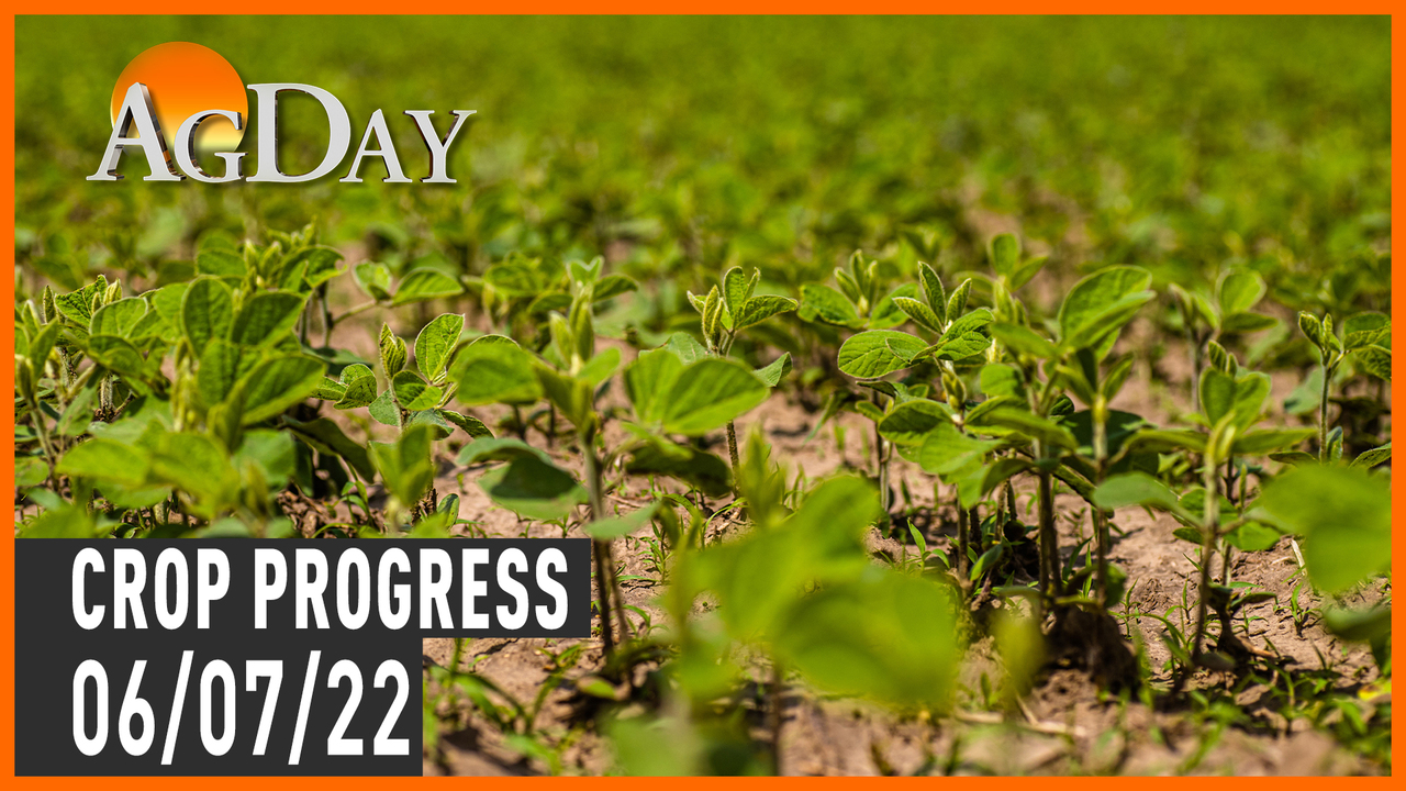 AgDay 06/07/22 - AGDAY - Farm Journal TV