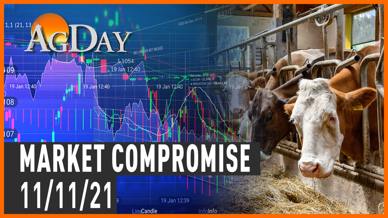 AgDay 11/11/21 - Farm Journal TV