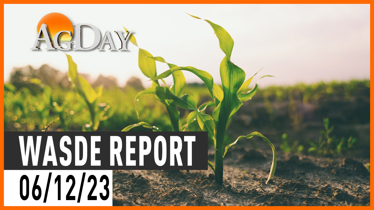 AgDay 06/12/23 - AGDAY - Farm Journal TV