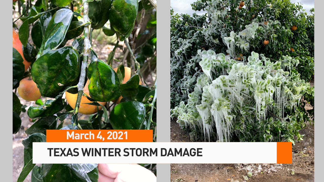 AgDay 03/04/21 - AGDAY - Farm Journal TV