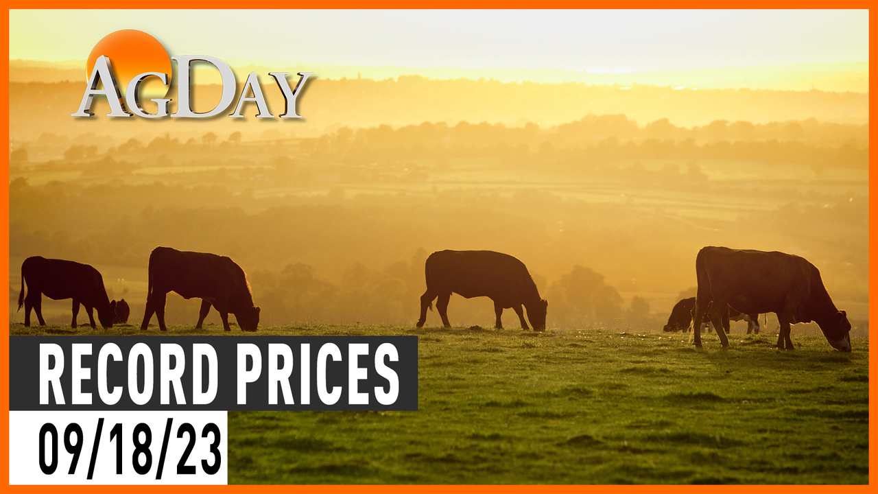 AgDay 09/19/23 - LATEST EPISODES - AgDay OTT