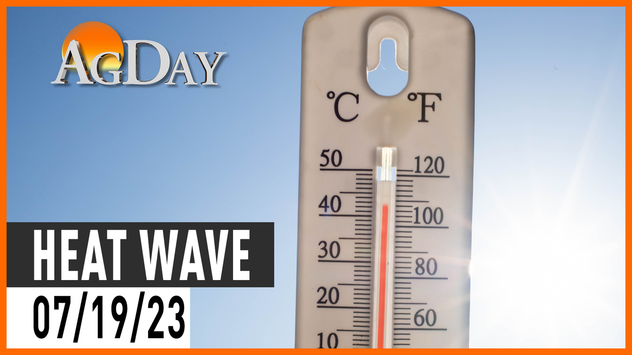 AgDay 04/07/21 - AGDAY - Farm Journal TV