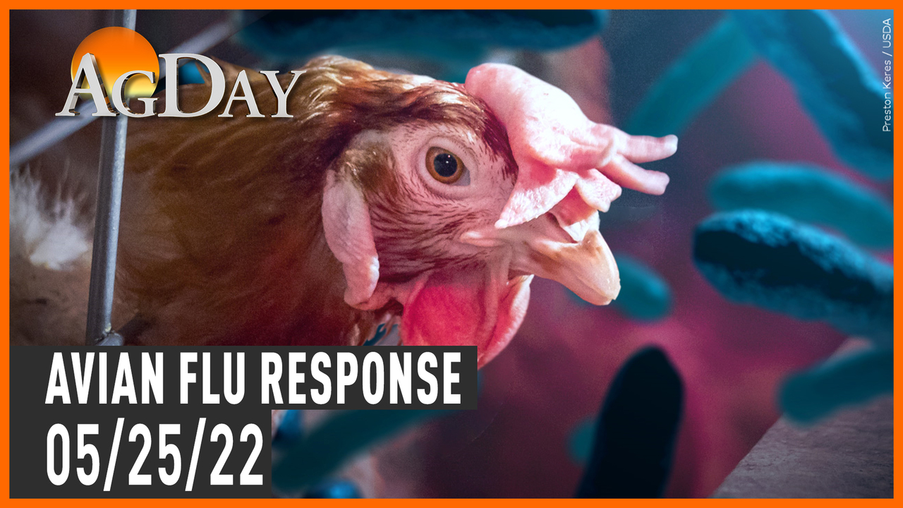 AgDay 07/28/21 - AGDAY - Farm Journal TV