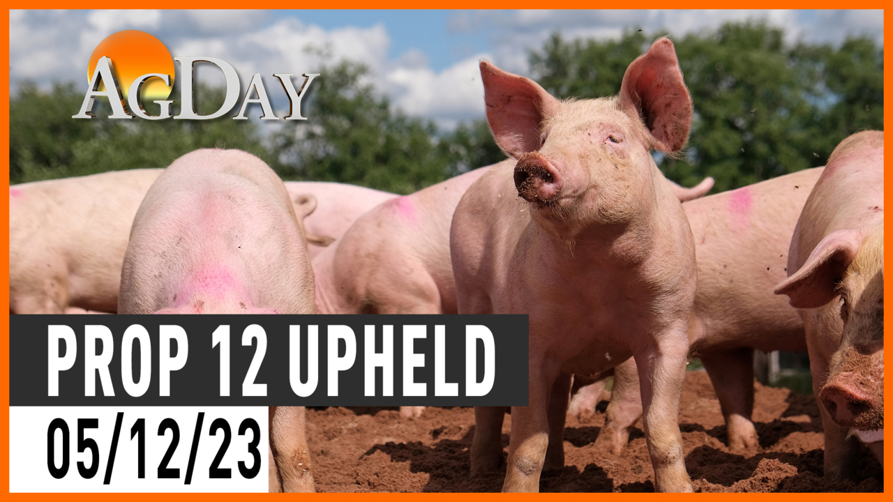 AgDay 12/19/22 - AGDAY - Farm Journal TV