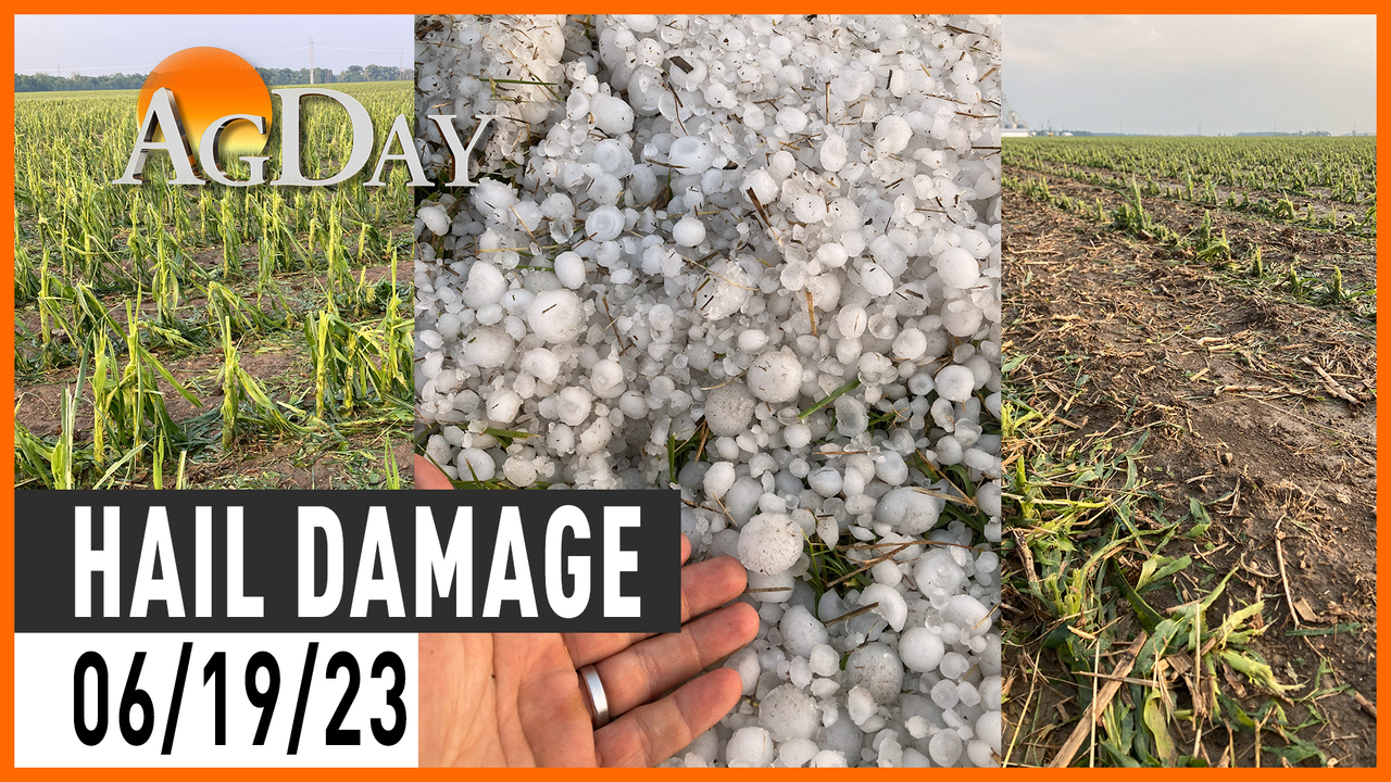 AgDay 04/27/23 - AGDAY - Farm Journal TV