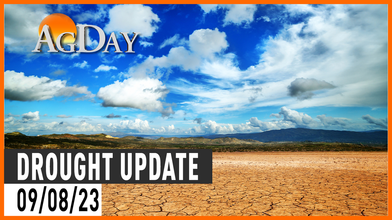 AgDay 09/08/23 - LATEST EPISODES - AgDay OTT