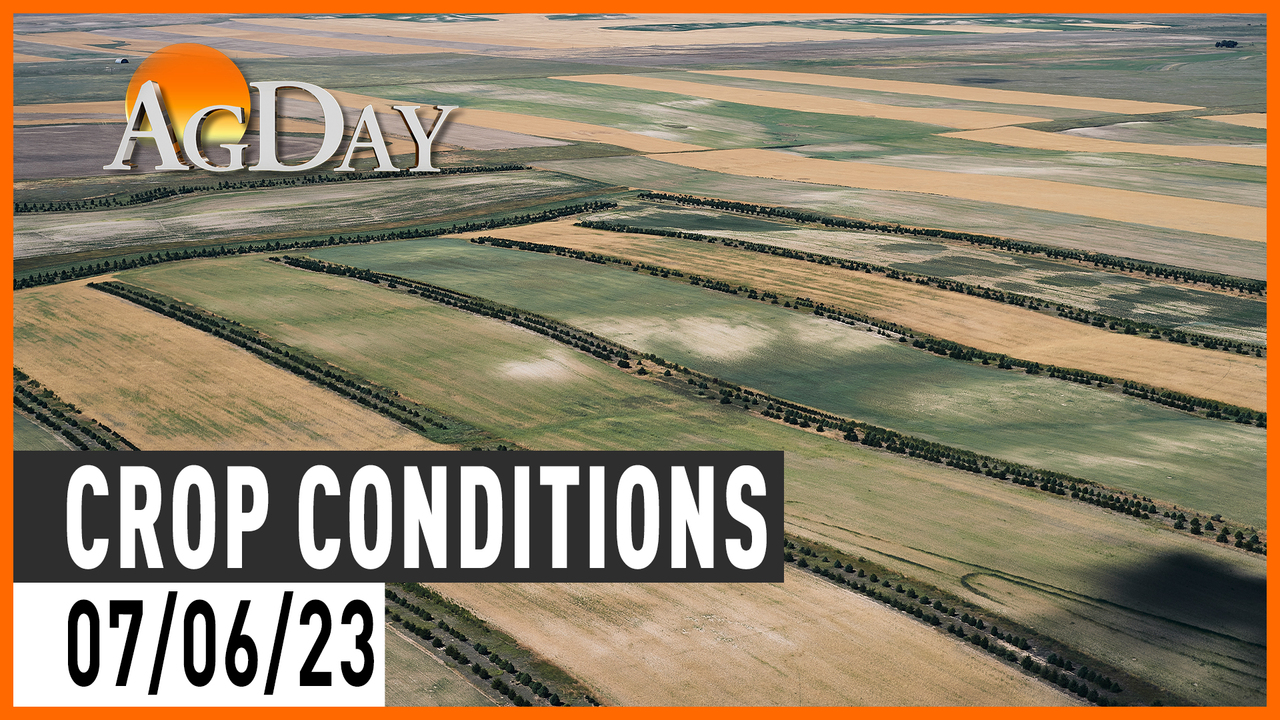 AgDay 07/06/23 - LATEST EPISODES - AgDay OTT