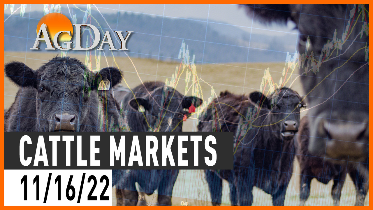 AgDay 08/05/22 - AGDAY - Farm Journal TV