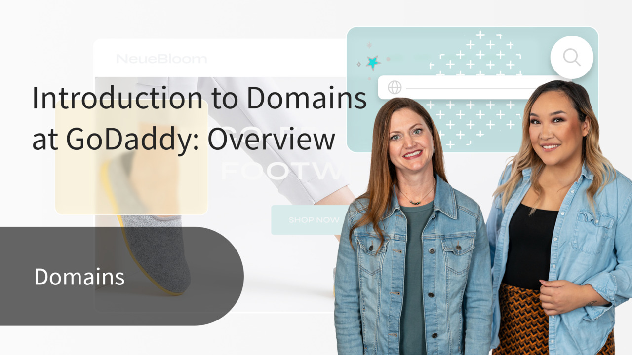 GoDaddy Help Center - How-To Video - Introduction to Domains at GoDaddy: Overview