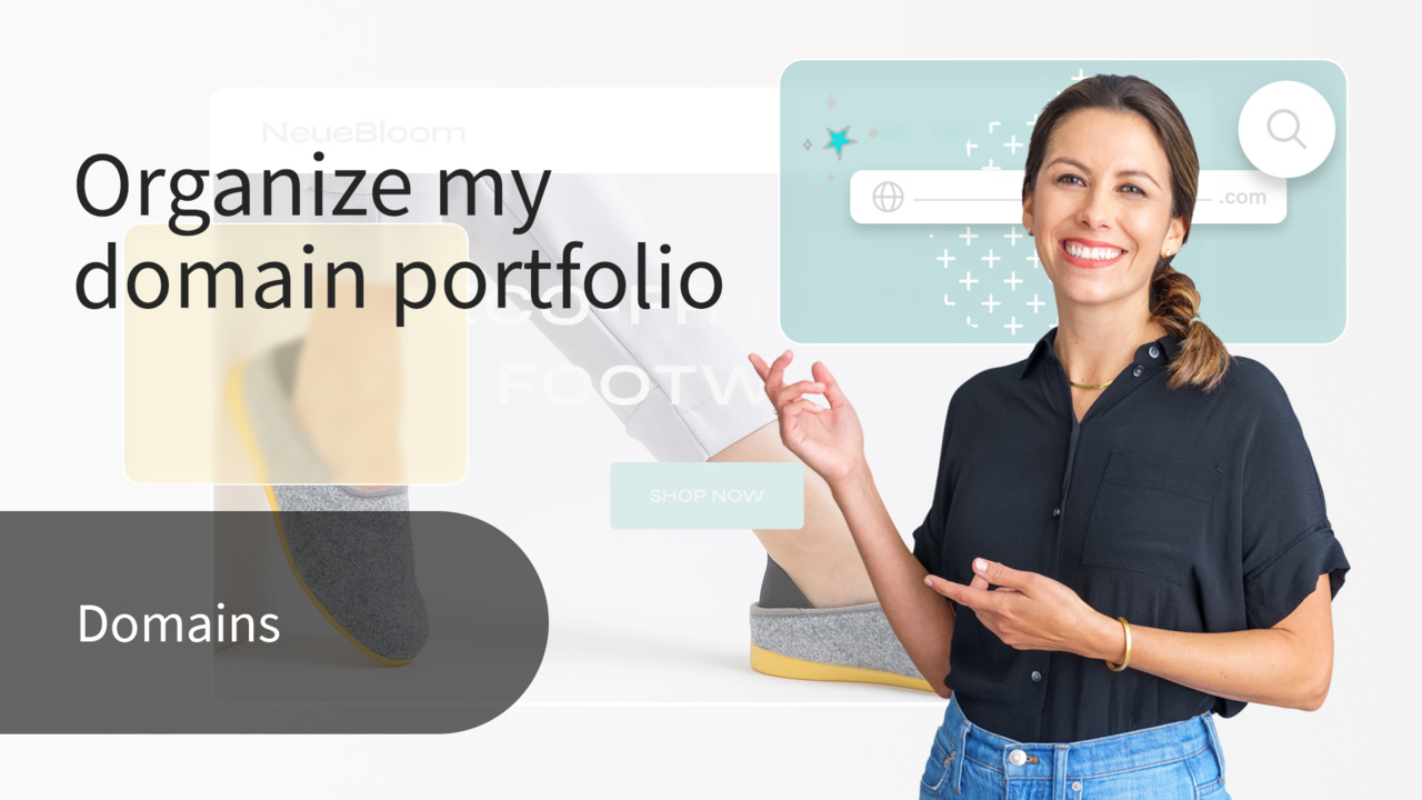 GoDaddy Help Center - How-To Video - Organize my domain portfolio