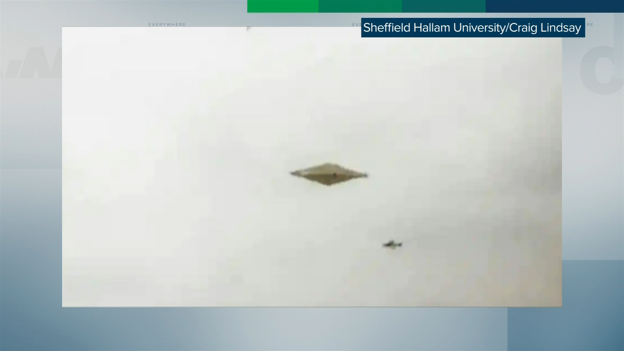 What we did (and didn't) learn about UFOs in 2022 | CityNews Toronto