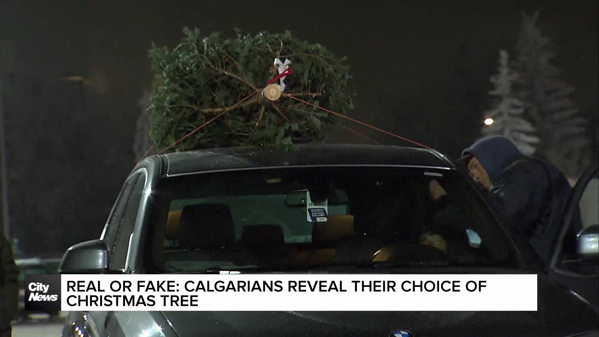 Real vs. Fake: Calgarians reveal their choice of Christmas tree